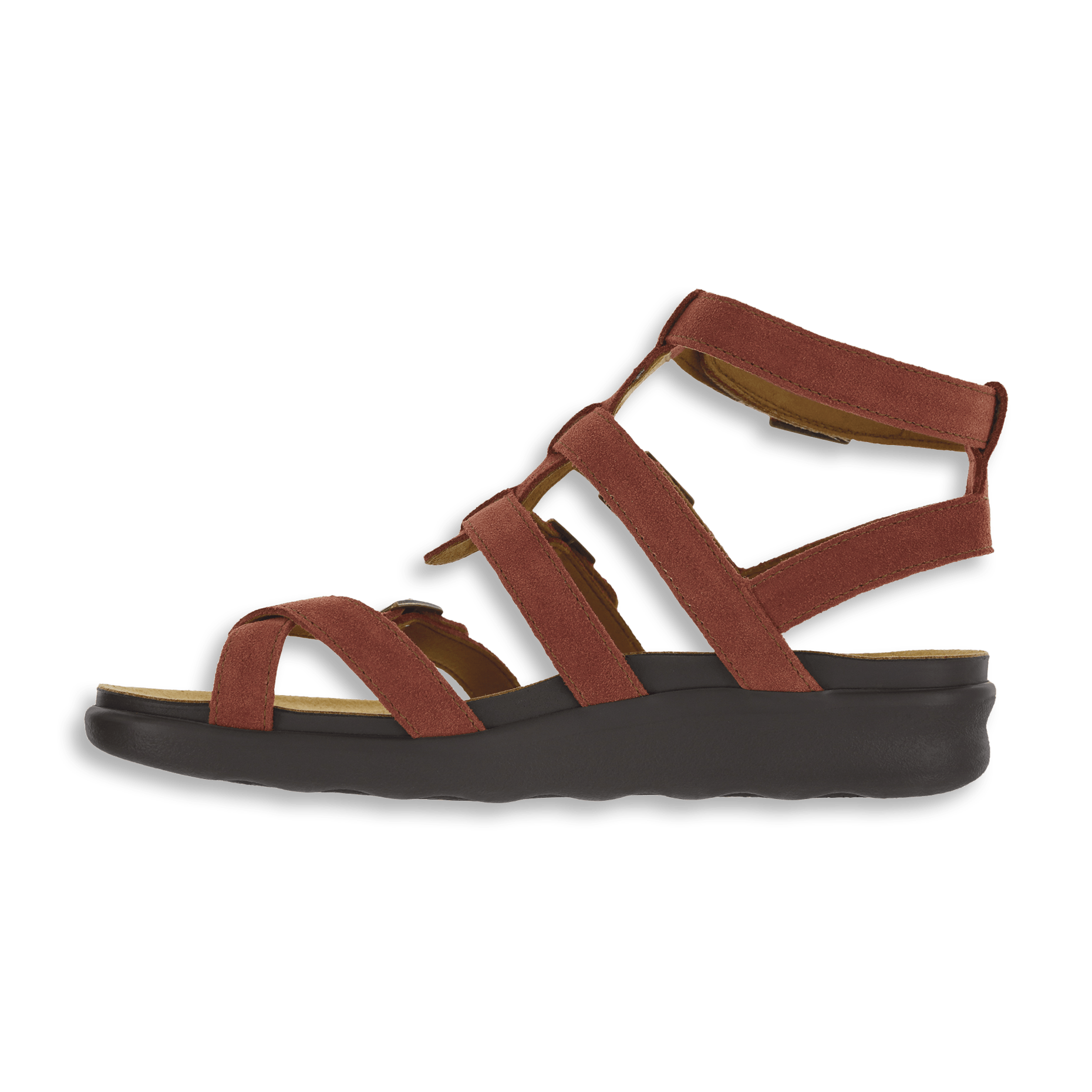 Original Price: $0.00 Current Price: $188.95