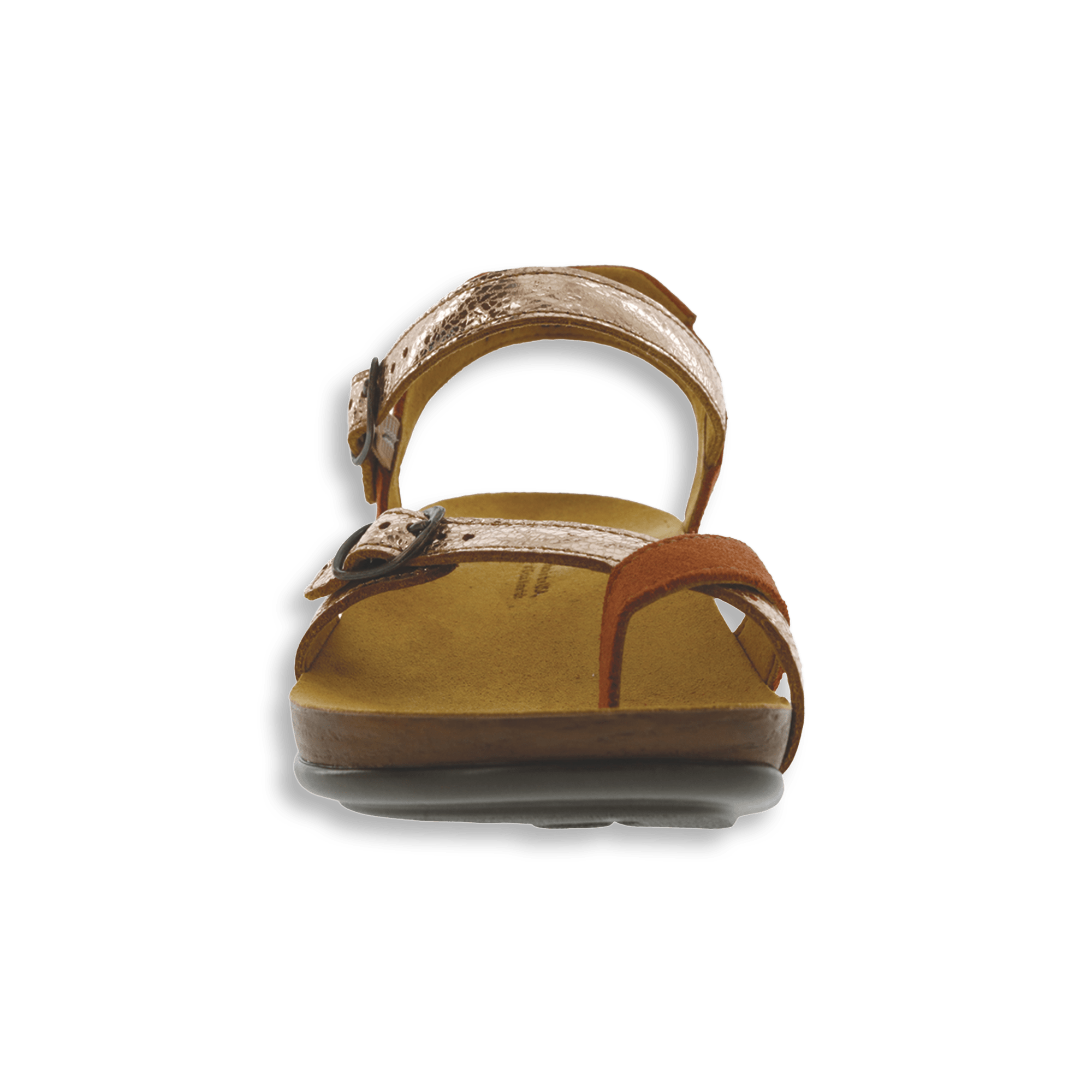 Previous Slide Next Slide See larger images