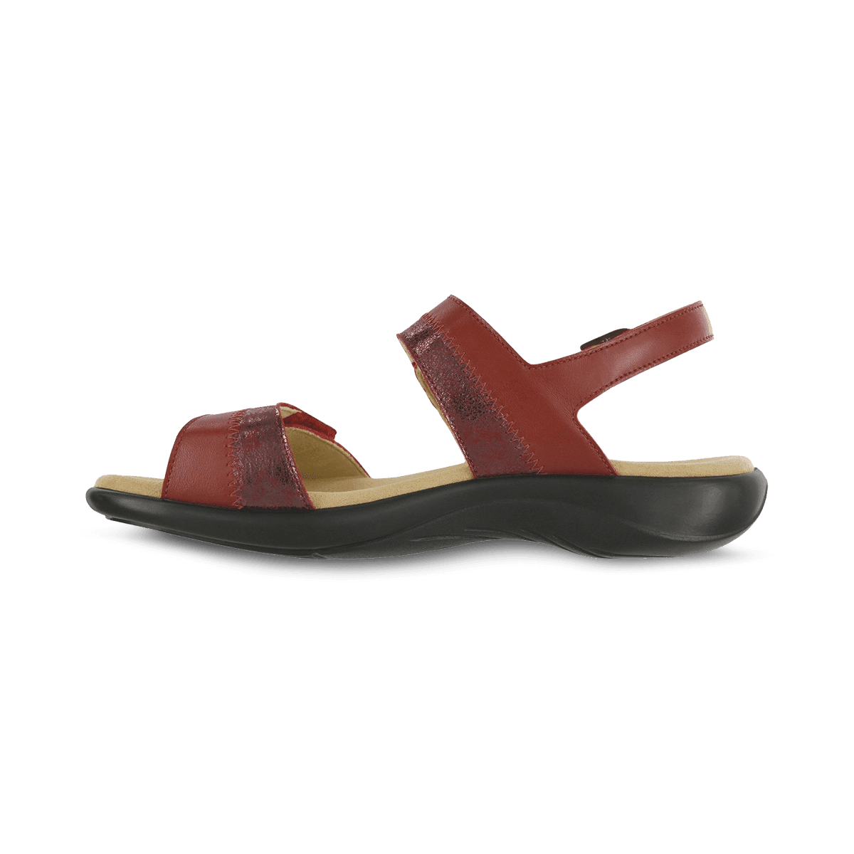 Account Membership Wishlist 504-688-7716